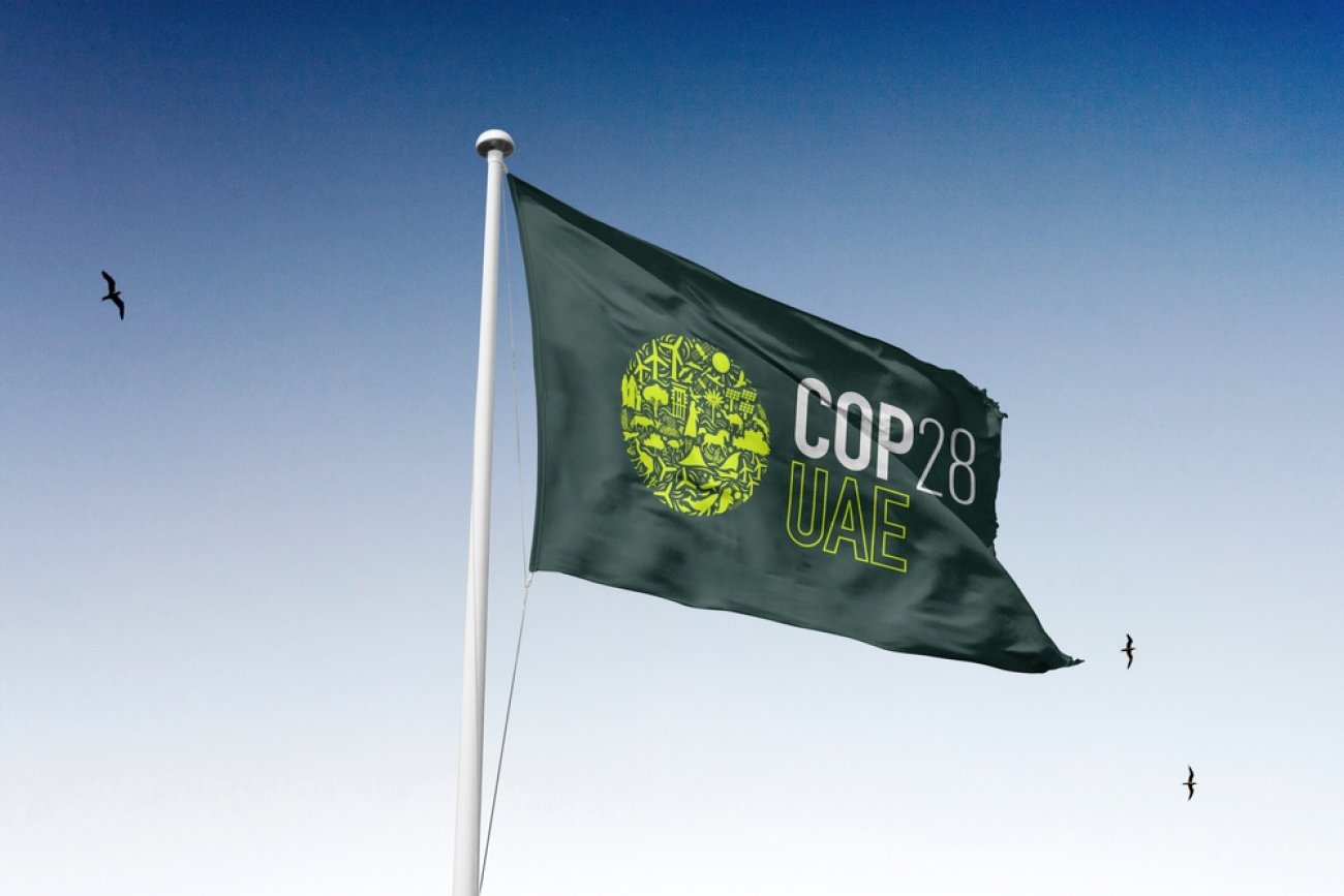 COP28: The key takeaways, and what COP29 might look like | BusinessLDN ...