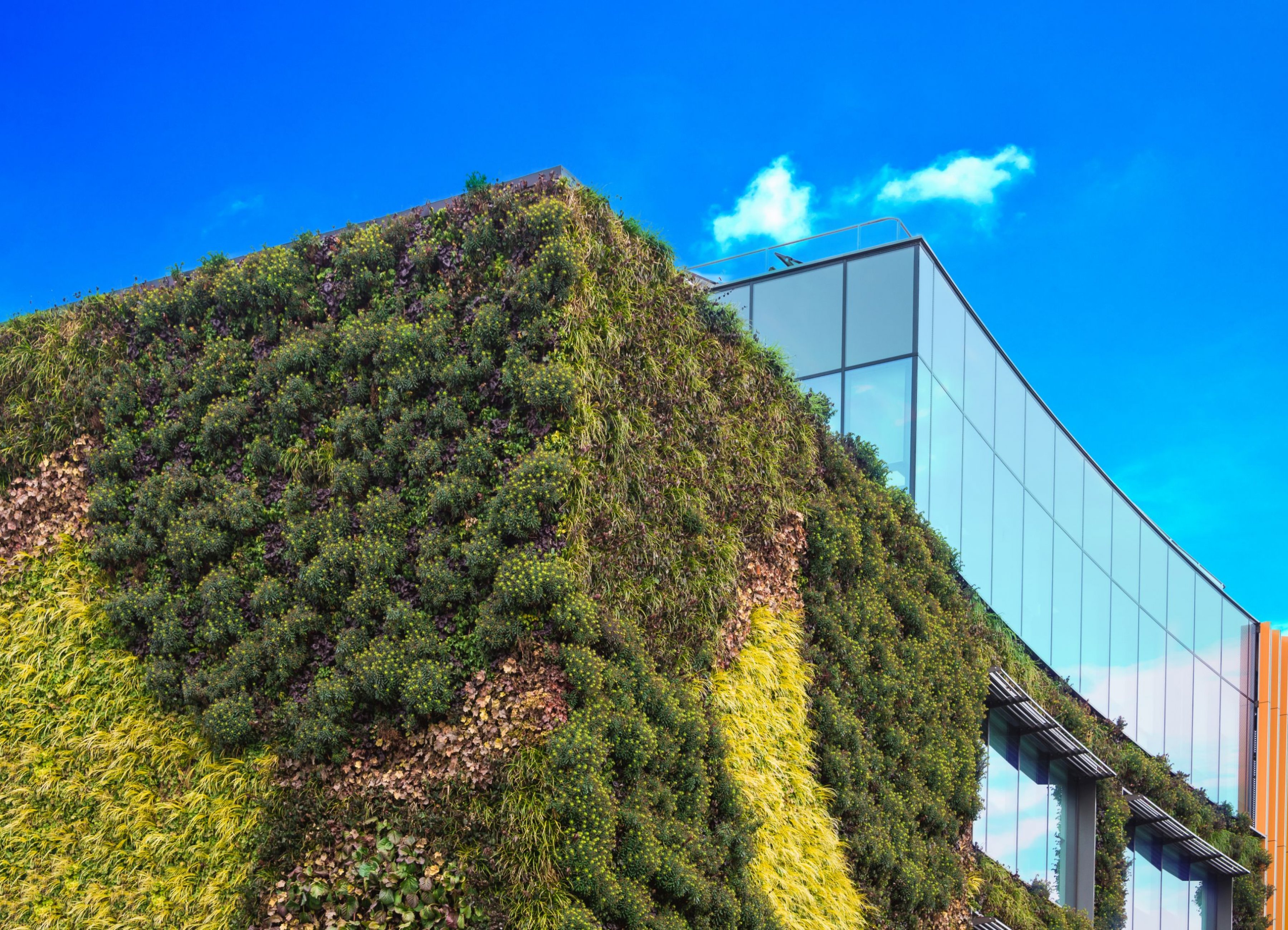 Building a sustainable London with Arcadis | BusinessLDN (previously ...